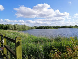 Stanwick Lakes: A Visitors Guide - Rushton Hall